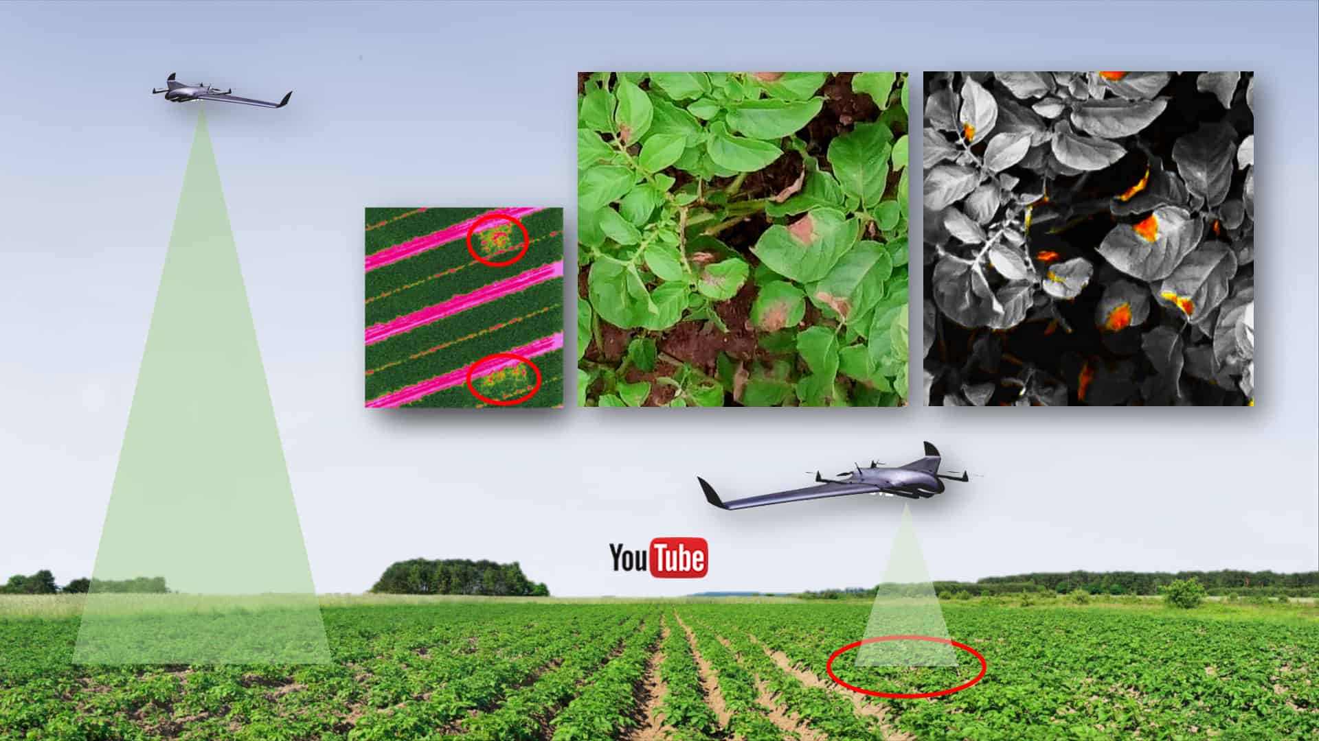 Home page - AGROWING